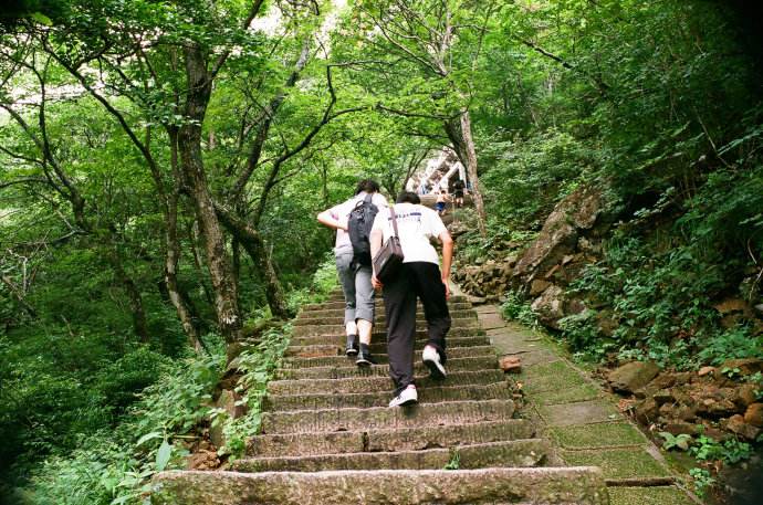 Huangshan Hiking Tour from Shanghai: Explore Peaks and Trails