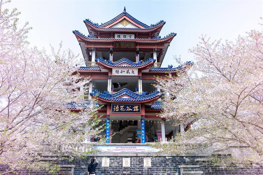 Wuxi City Highlights Exploring Day Tour From Shanghai | Travel From ...