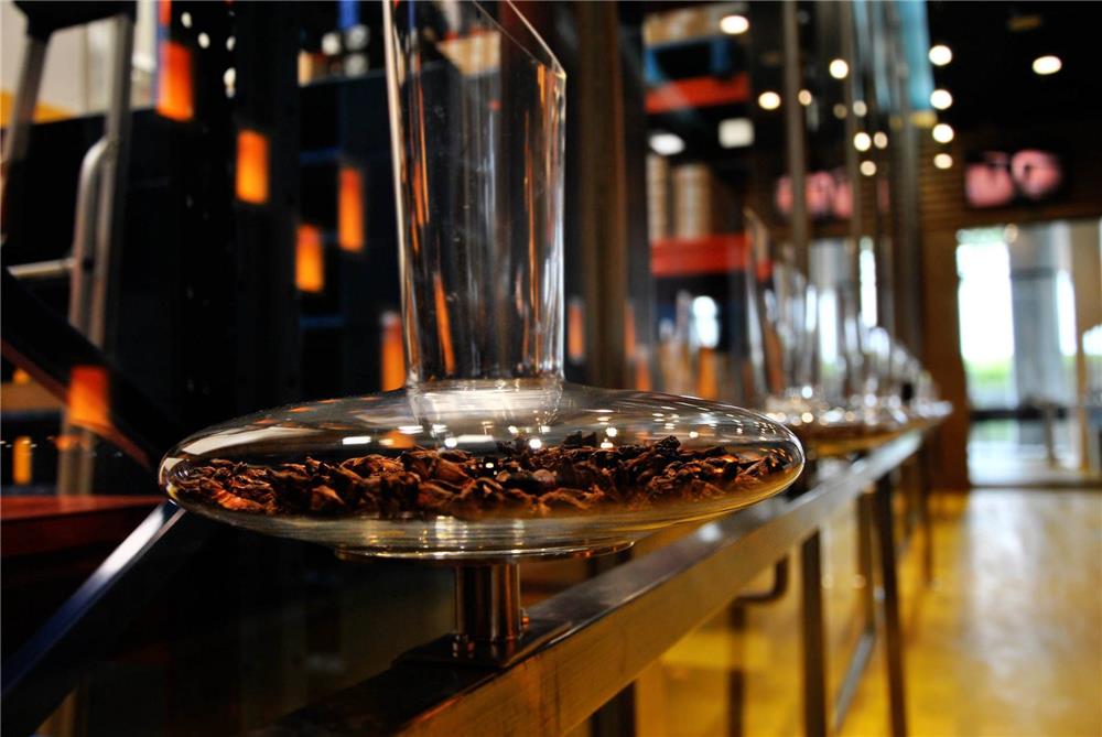 Shanghai Day Trip to Disciver Zotter Chocolate Factory with a local ...
