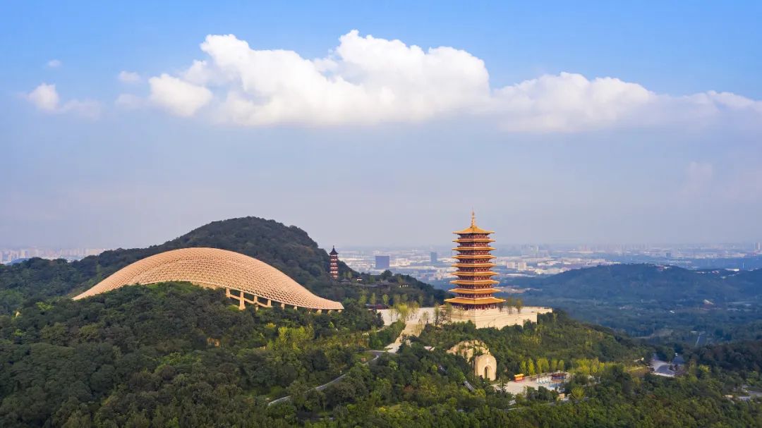 Explore Nanjing from Shanghai | Seamless Day Tours